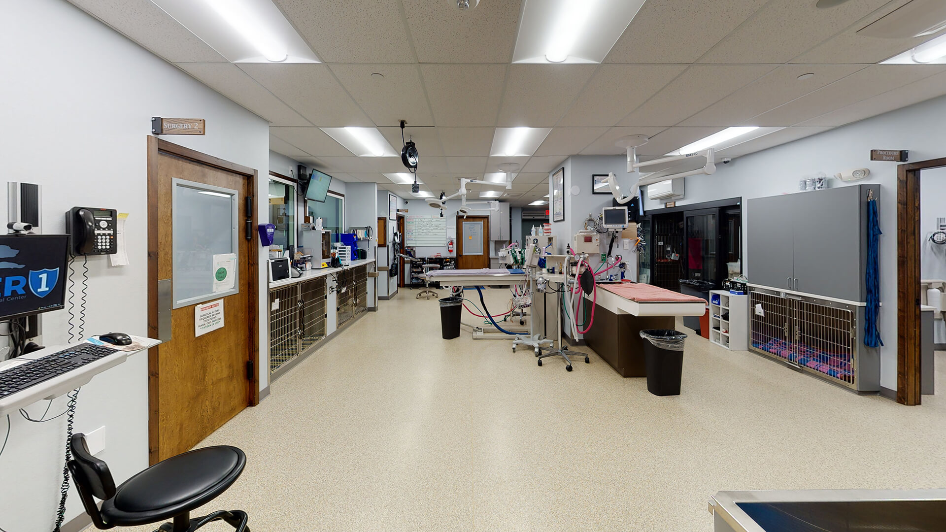 Veterinary Technician - Tier 1 Veterinary Medical Center